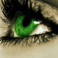 Get Updates – Author R.N. Shapiro's Homepage
